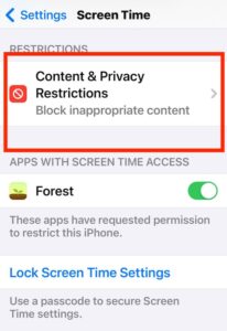 How to Set Up Age-Based Parental Controls on iPhone and iPad in iOS 18. ...