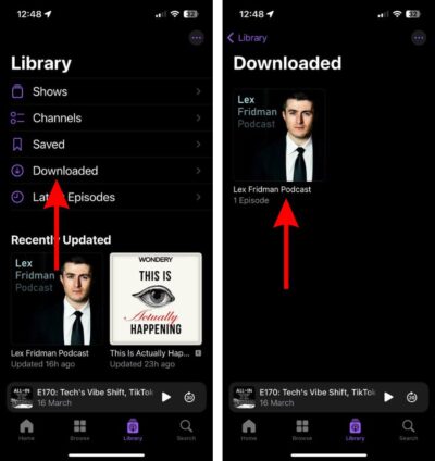 How to Fix Apple Podcasts Skipping Randomly - The Mac Observer