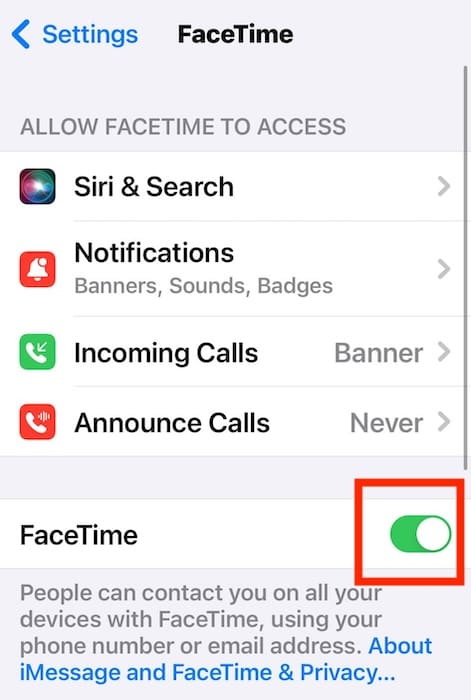Fix FaceTime Not Working/Showing on iOS 17/17.7 - The Mac Observer