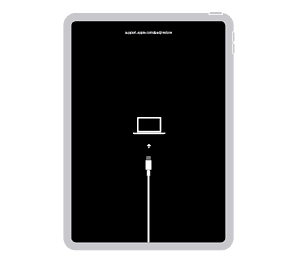 How to Fix the iPad Black Screen of Death: 5 Ways - The Mac Observer