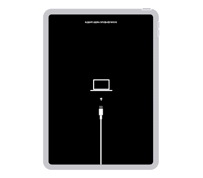 How to Fix the iPad Black Screen of Death: 5 Ways - The Mac Observer