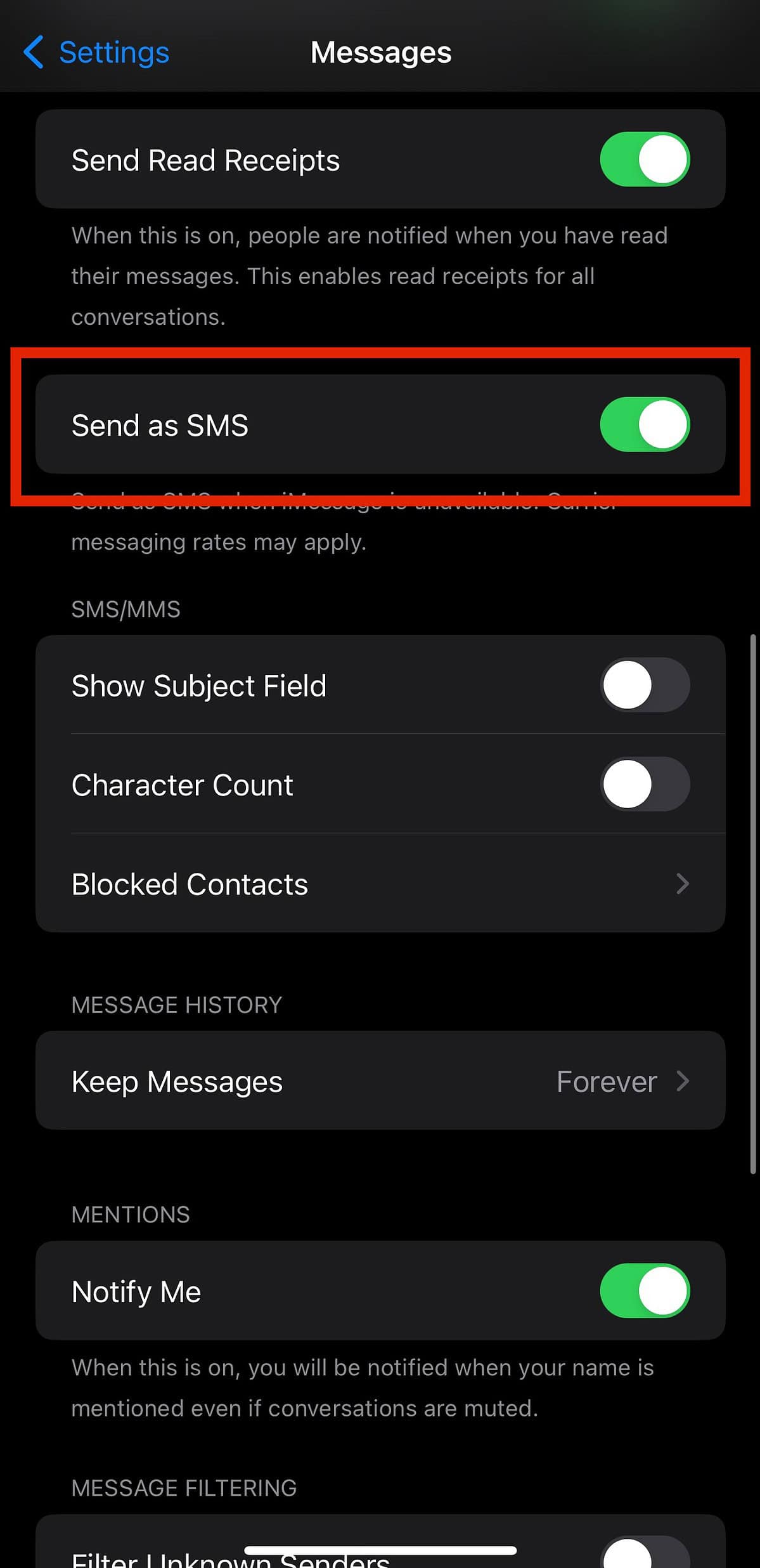 How To Fix iMessage Not Delivered on Your iPhone: 5 Solutions
