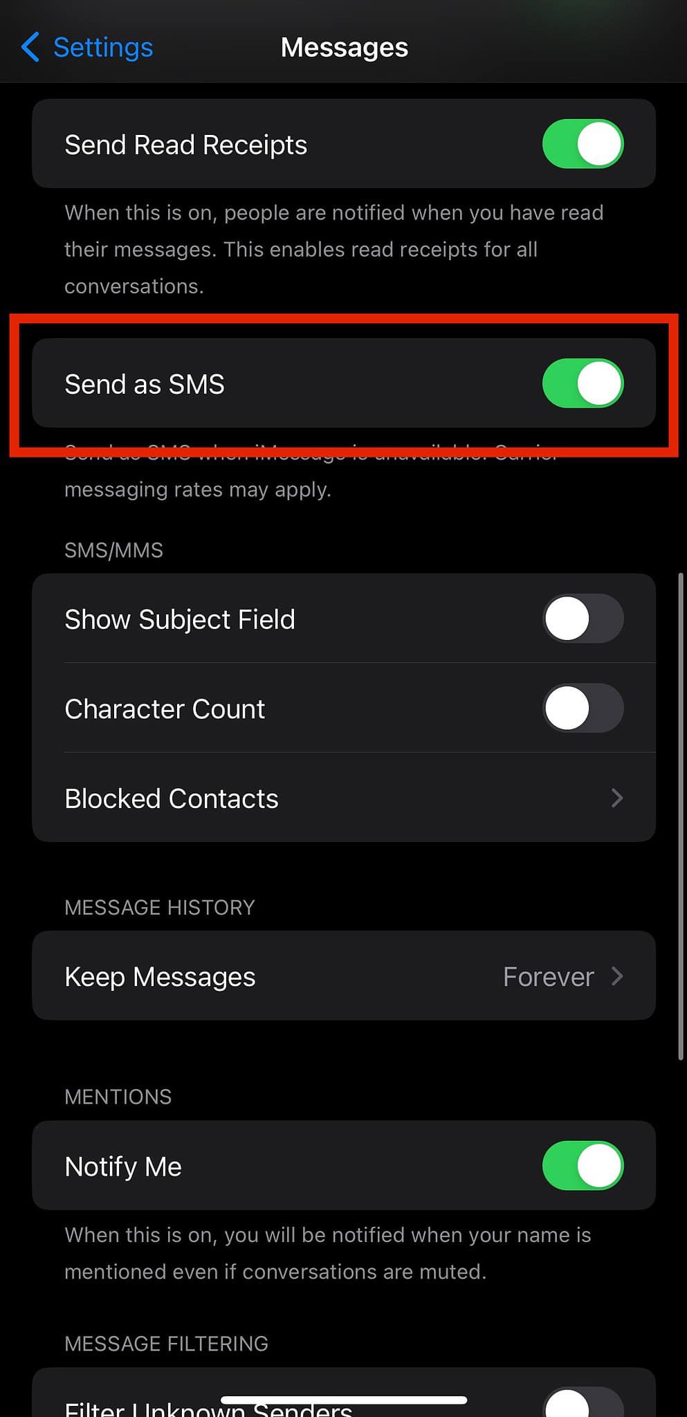 How To Fix iMessage Not Delivered on Your iPhone: 5 Solutions