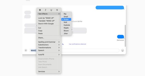 How To Animate Text in Messages: iOS 18, iPadOS 18, macOS 15 - The Mac ...