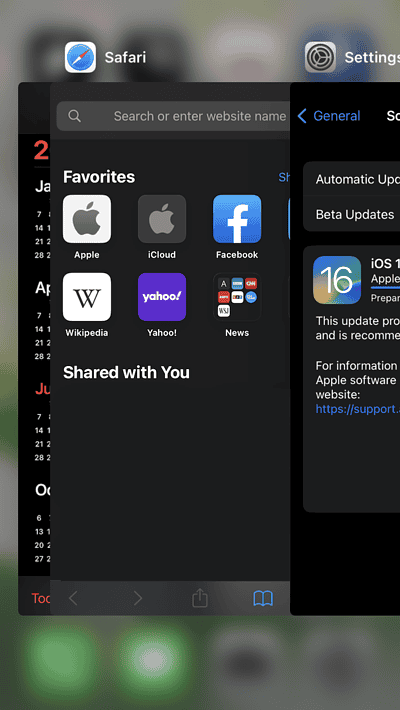 Fix: Safari Keeps Crashing on Mac/iPhone/iPad in 21 Ways - The Mac Observer