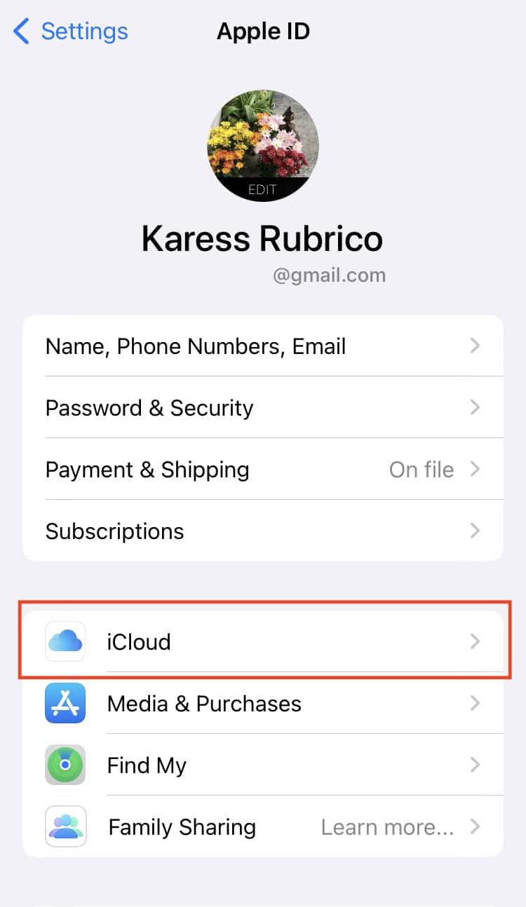 Why Safari Is Not Working & How To Fix It on iPhone: 5 Ways - The Mac ...