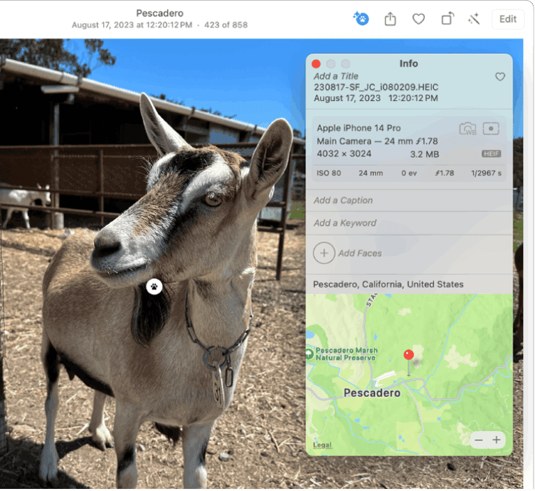 Visual Lookup: The Google Lens Alternative for iPhone | 2025 Guide