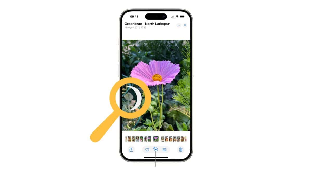Visual Lookup: The Google Lens Alternative for iPhone | 2025 Guide