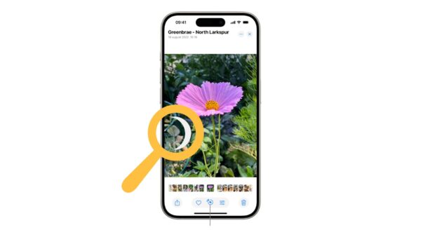 Visual Lookup: The Google Lens Alternative for iPhone | 2026 Guide