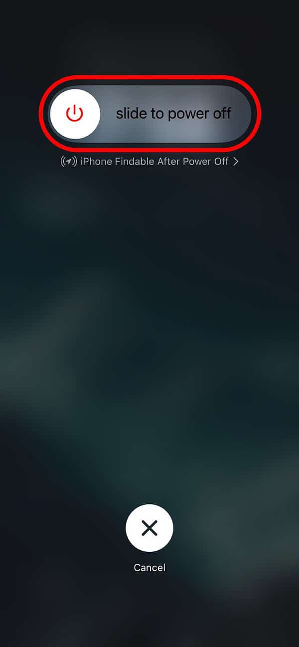 Apple Watch ECG Not Working? Here’s How To Fix It! - The Mac Observer