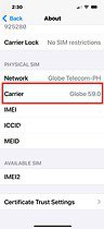 Cellular Data Not Working on iOS 18/18.3? Here Are 6 Fixes - The Mac ...