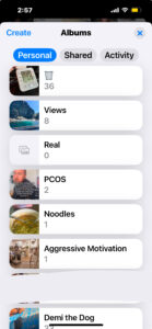 How To Fix Albums Missing or Moving in iOS 18/18.1 Photos App - The Mac ...