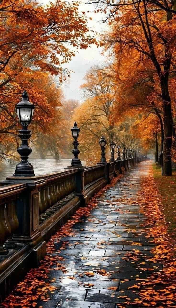 15 Best Fall Wallpapers For iPhone in 2026
