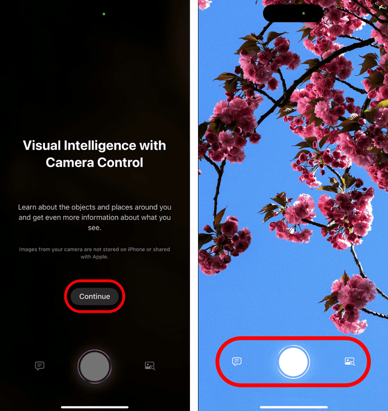 How to Use Visual Intelligence on iPhone 16 Running iOS 18.2 - The Mac ...