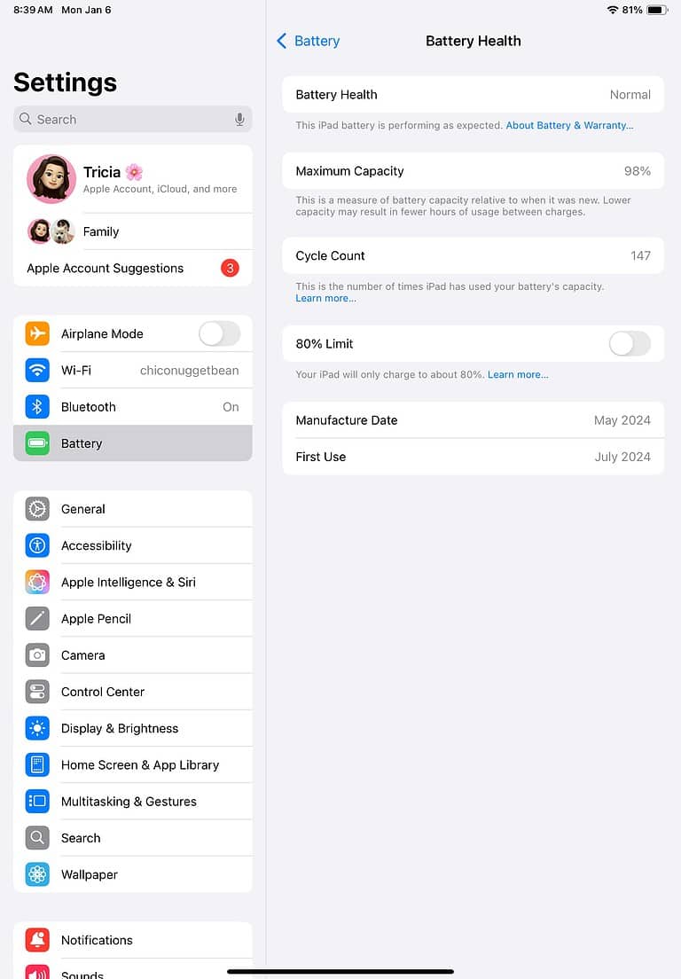 Why is My iPad So Slow & How to Fix it