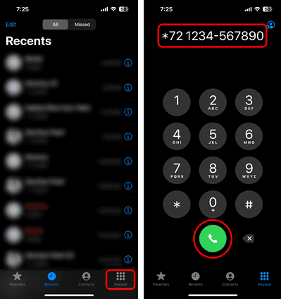 Call Forwarding Not Working on iOS 18? Here’s How to Fix it - The Mac Observer