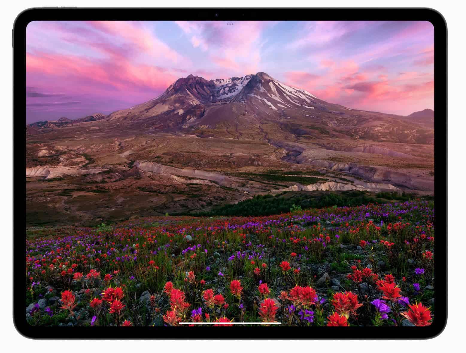 What Is OLED? A Look at the Display Tech Coming to the 2026 MacBook Pro ...