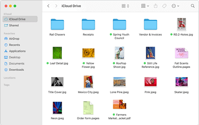 How To Open the Properties of a File or Folder on a MacBook (macOS ...