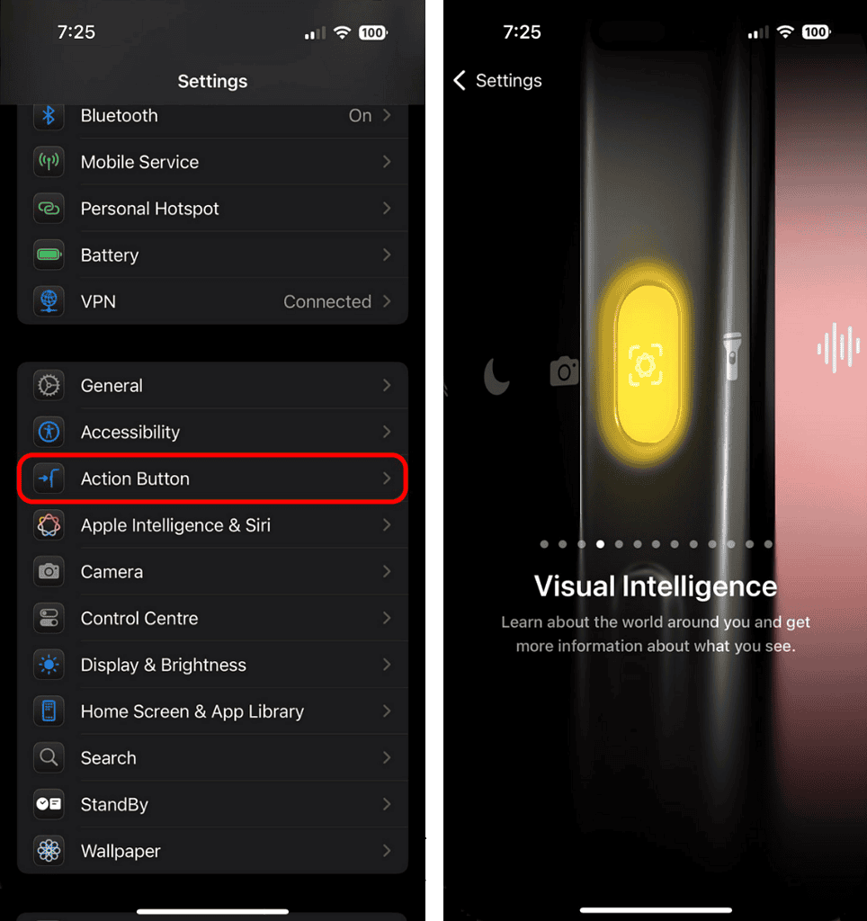Visual Intelligence on iPhone 15 Pro vs iPhone 16: What's Different ...