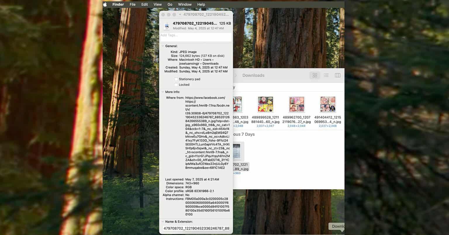 How To Open the Properties of a File or Folder on a MacBook (macOS ...