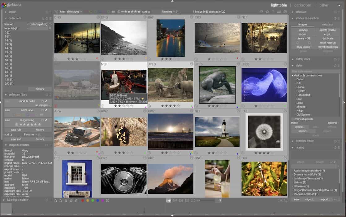 Best Adobe Lightroom Alternatives: 5 Apps to Avoid Subscriptions