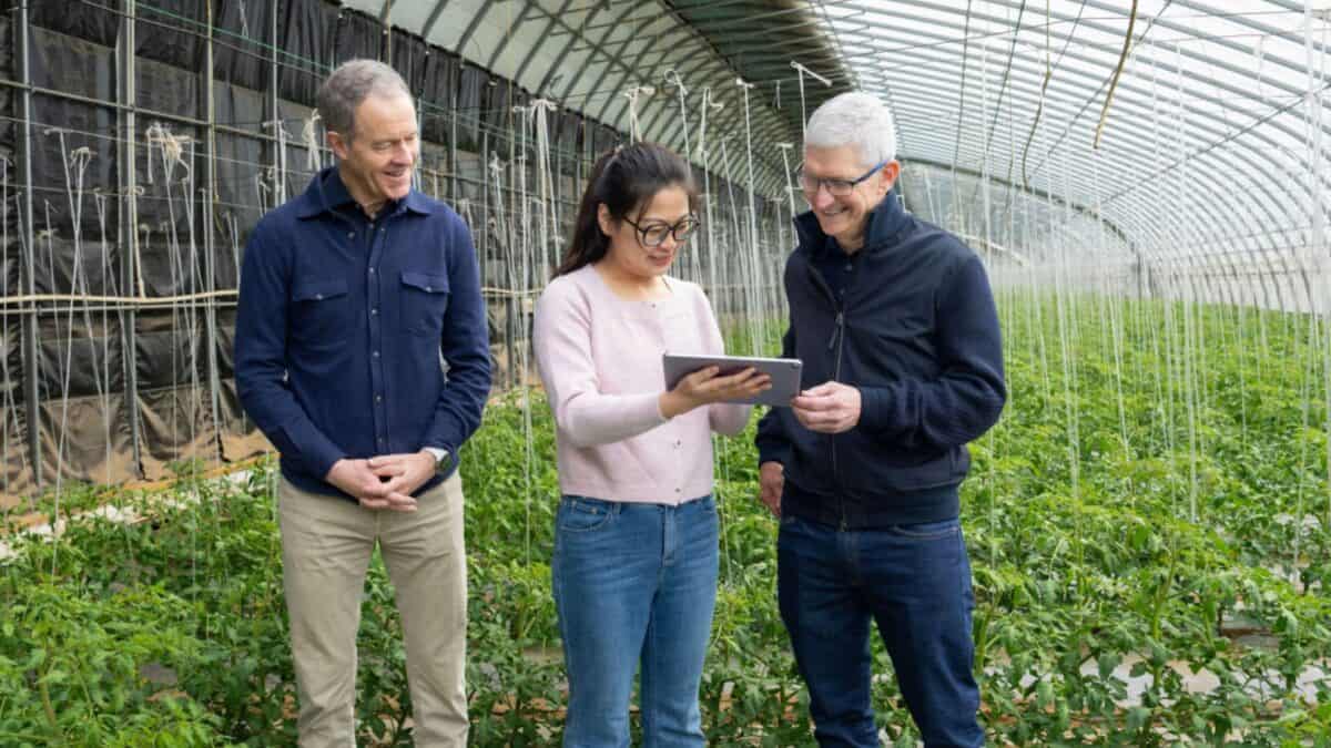 Apple's Design Leadership Returns to CEO Tim Cook After Williams ...