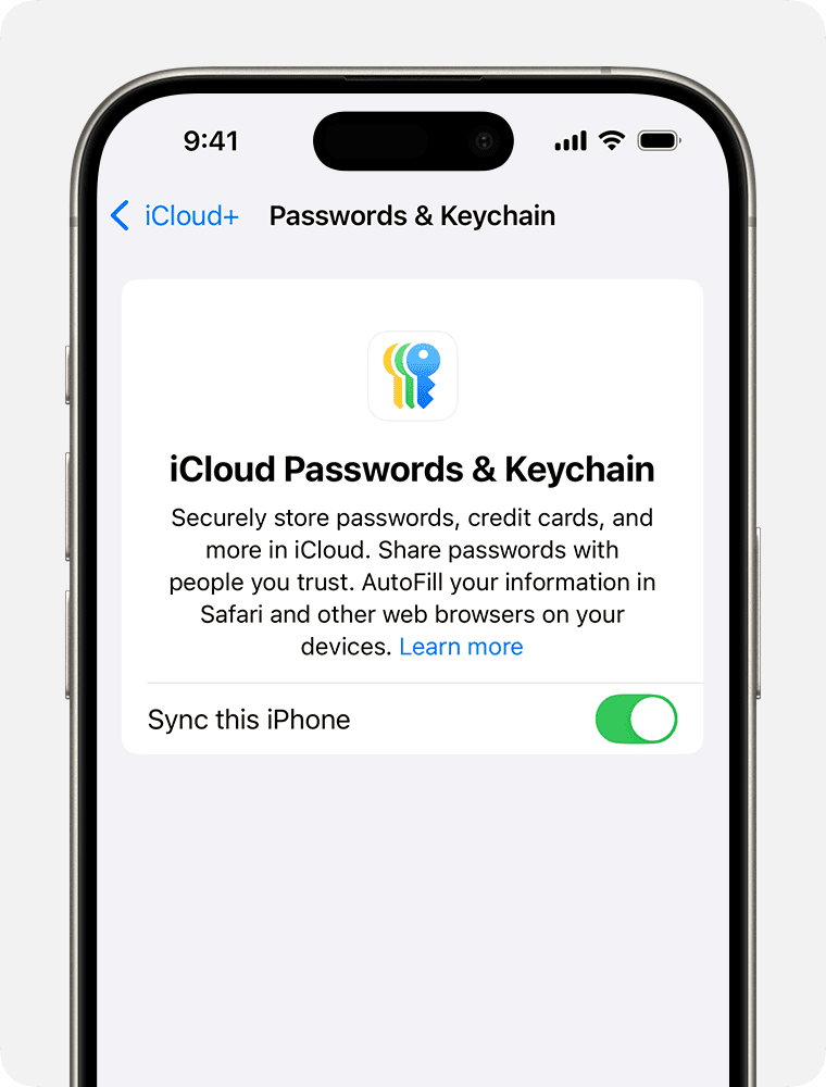How to Use the Apple Passwords App | A 2025 Guide