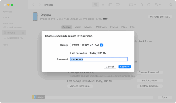 How to Restore an iPad to Factory Settings: Step-by-Step Guide for ...