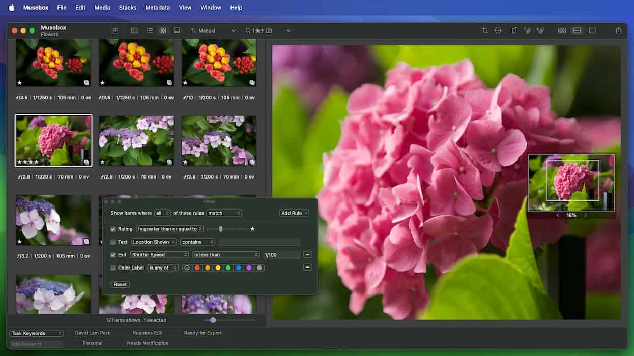 Review: Musebox Is the Digital Asset Manager You Didn't Know You Needed