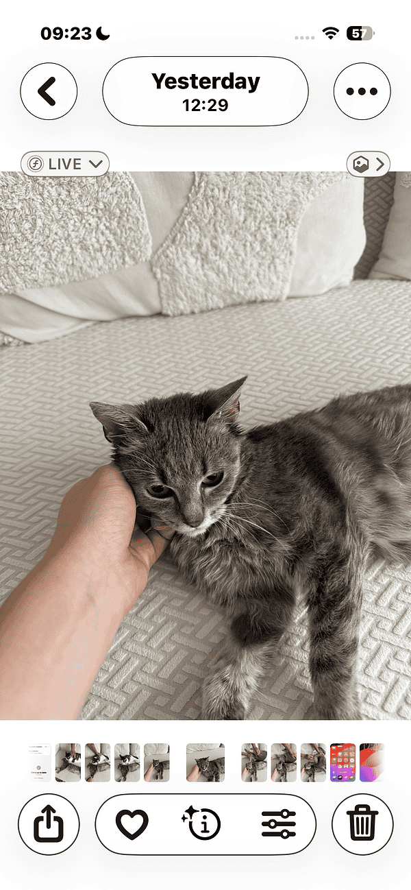 How to Use Spatial Scenes on iOS 26: Step-by-Step