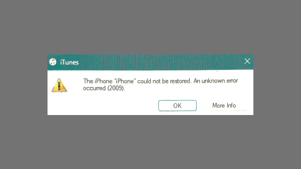 iPhone Error 2009 on iTunes [Solved]