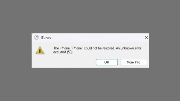 iPhone Error 53: Quick Fix