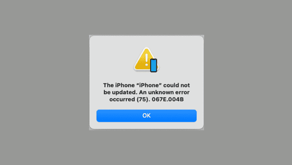 iPhone Error 75 on iTunes: 8 Fixes