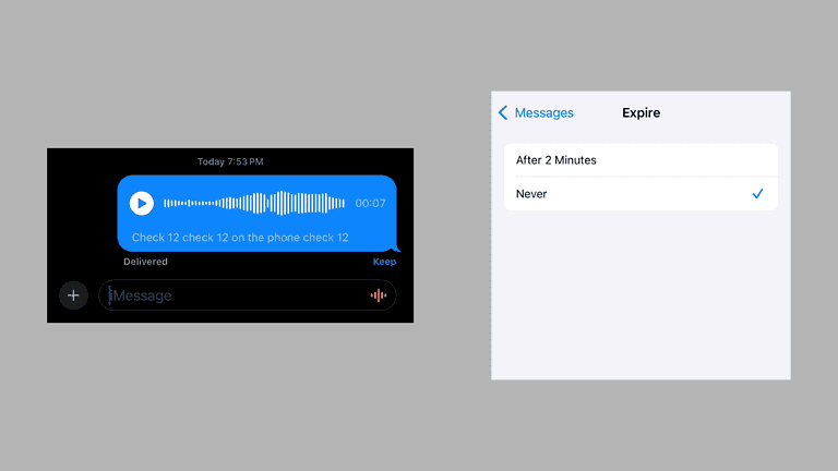 iMessage: Save Voice Message in Chat [3 Ways]