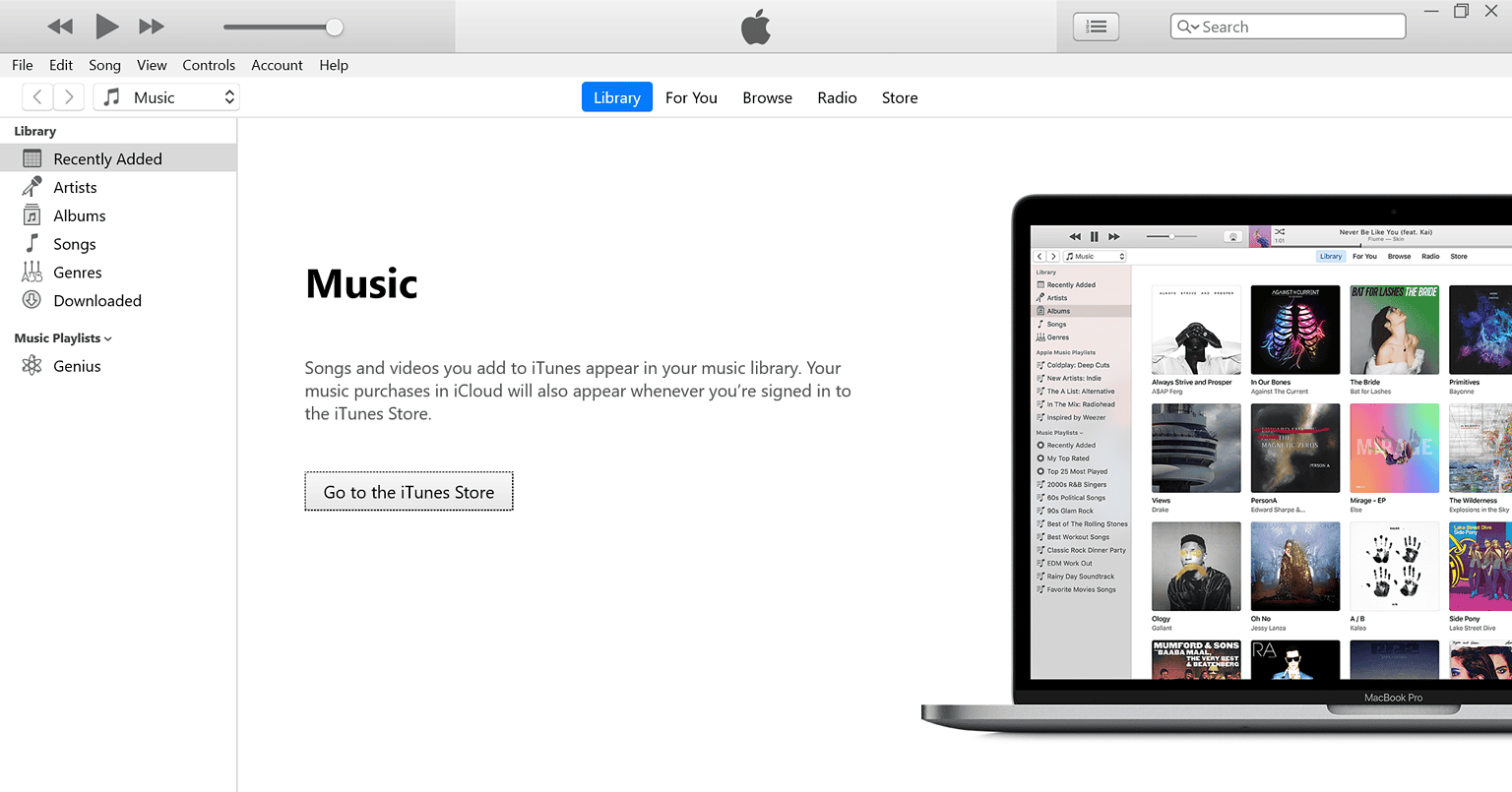iPhone Error 75 on iTunes: 8 Fixes