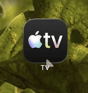 Everything new Apple added in iOS 26.1 developer beta 3