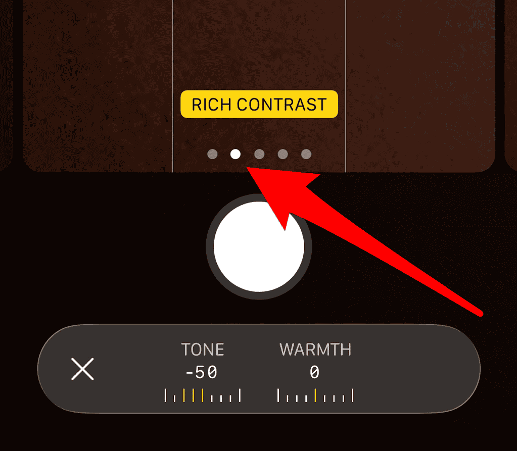 How to Use Rich Contrast Photographic Style on iPhone
