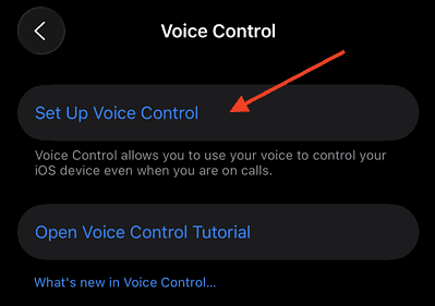How to Use Voice Control on iPhone