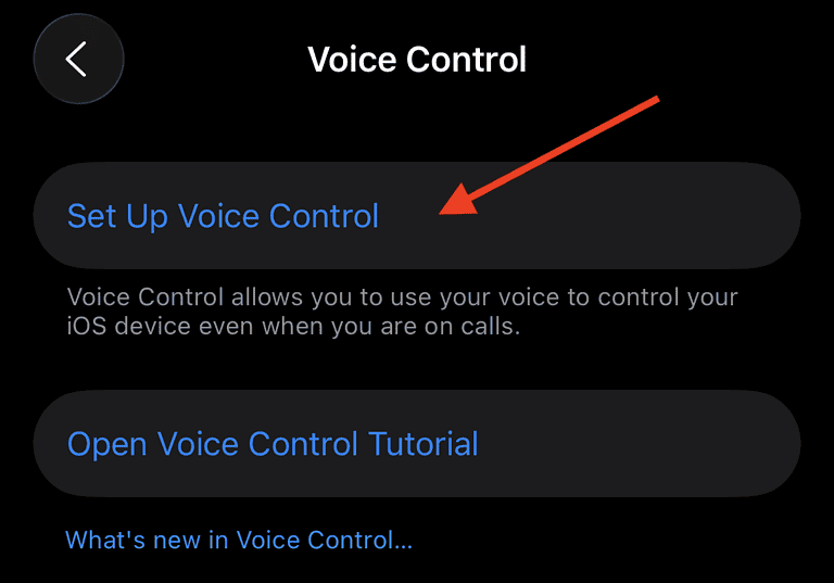 How to Use Voice Control on iPhone