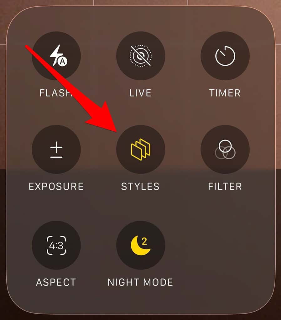 How to Use Rich Contrast Photographic Style on iPhone