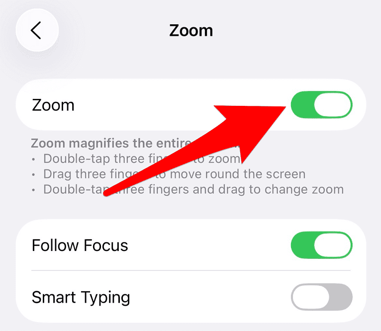 How to Fix an iPhone Screen Stuck Zoomed In