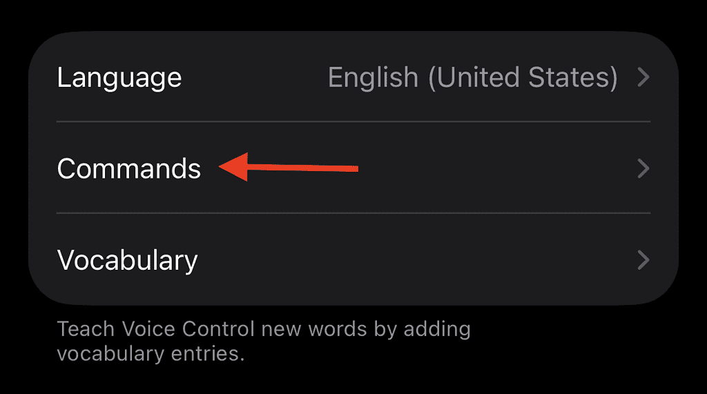 How to Use Voice Control on iPhone