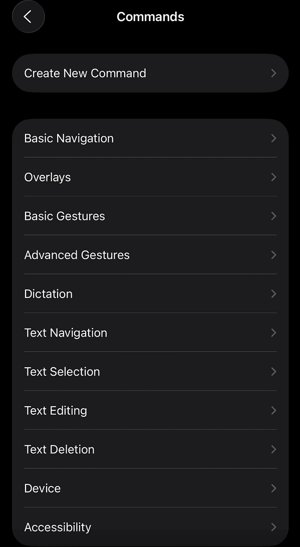 How to Use Voice Control on iPhone
