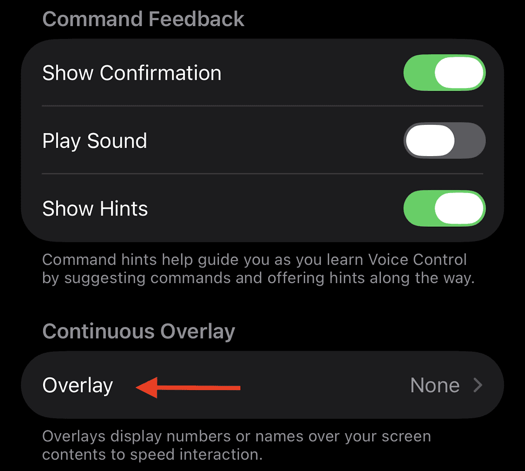How to Use Voice Control on iPhone