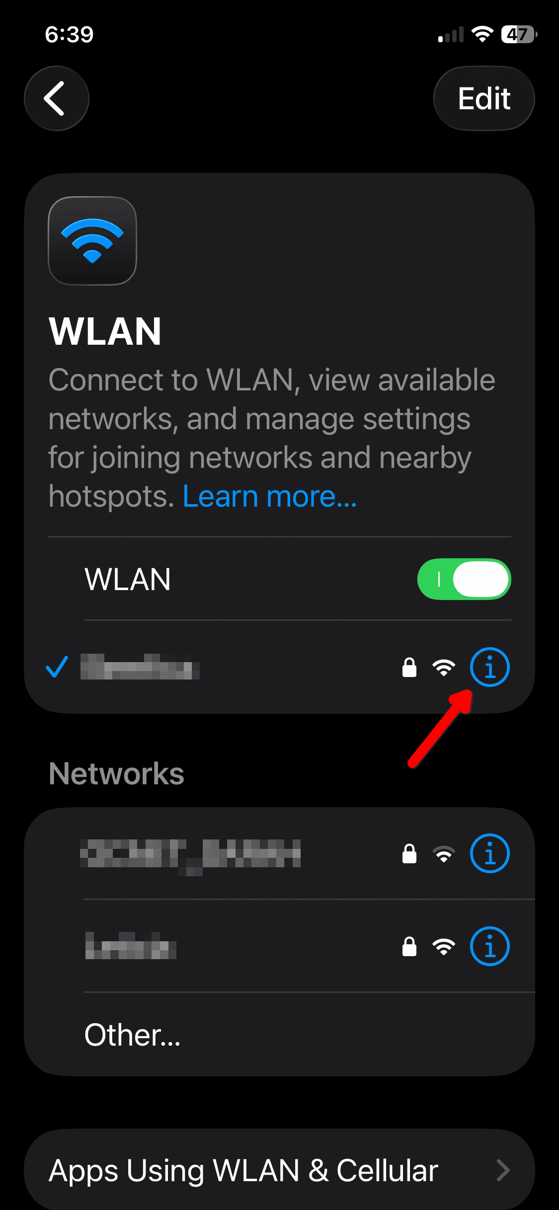iPhone IP Address: How to Find in Wi-Fi and Cellular Networks