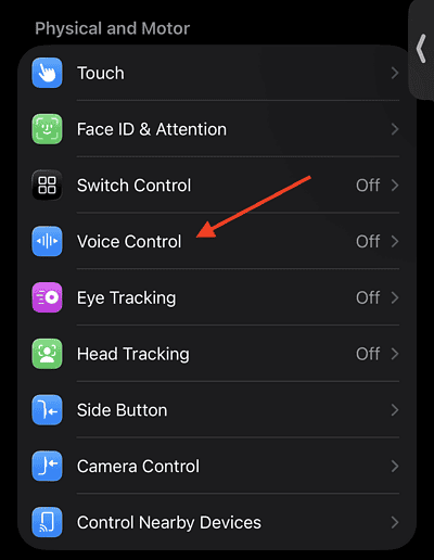 How to Use Voice Control on iPhone