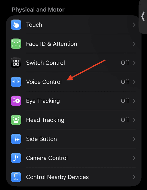 How to Use Voice Control on iPhone