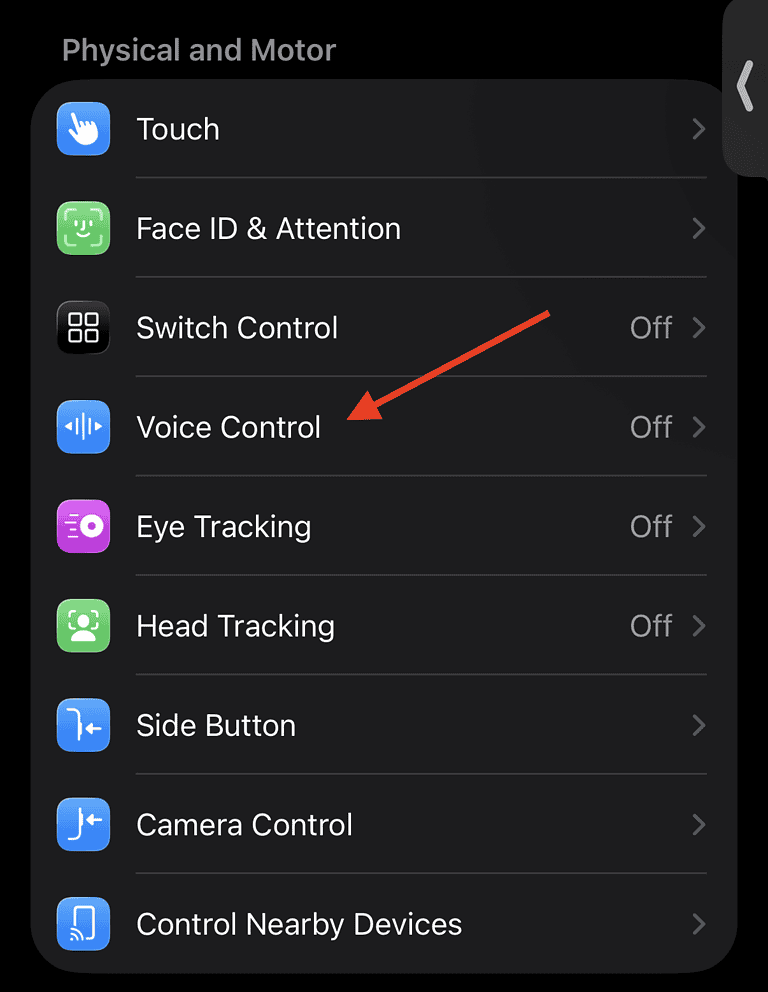How to Use Voice Control on iPhone