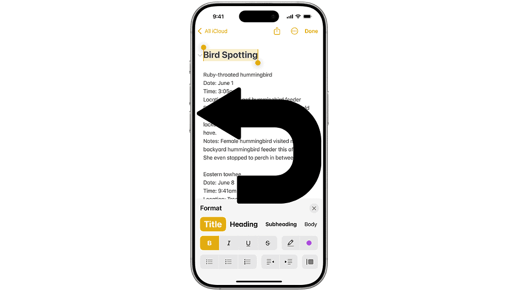 How to Use the Undo Feature in Apple Notes