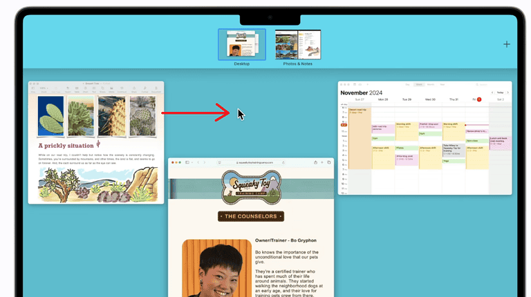 How to Close Apps in Split View Mode on an iPad & Mac